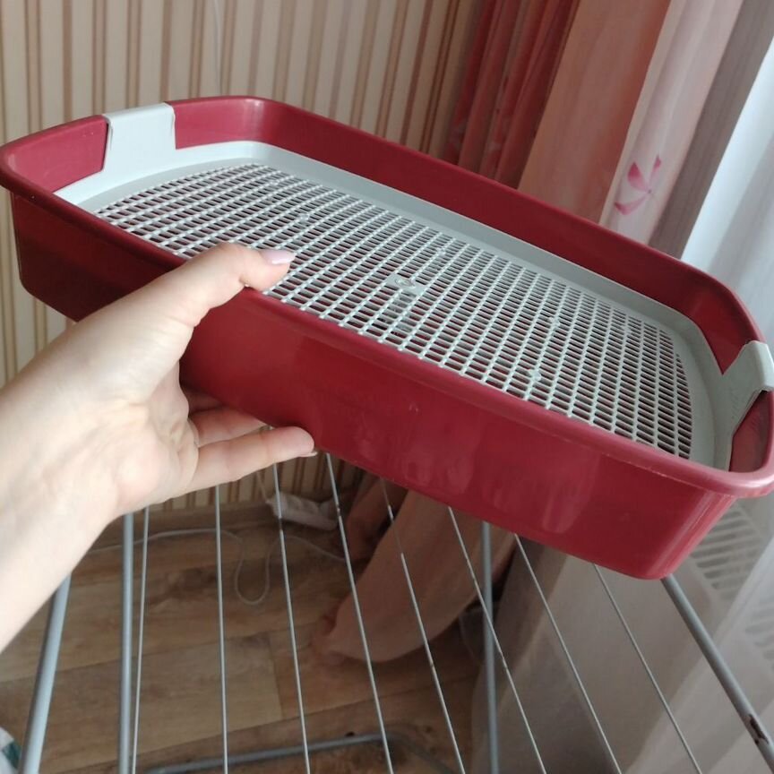 Лоток для кошек бесплатно