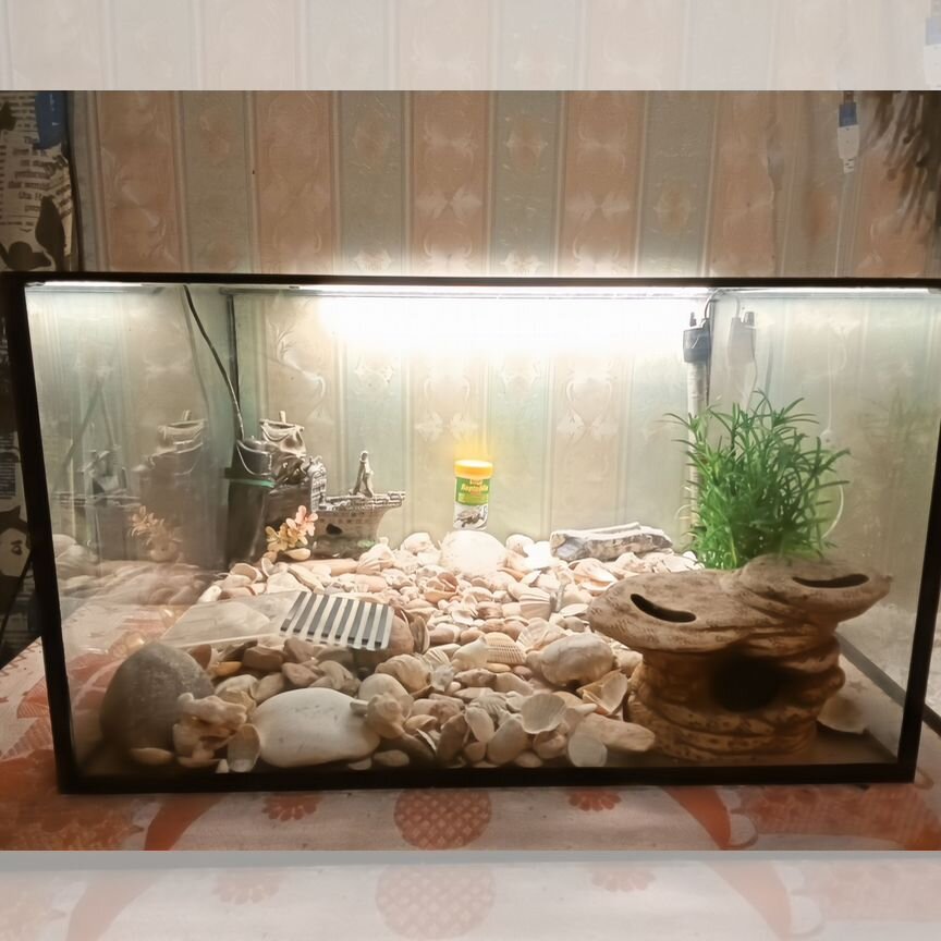 Террариум для черепахи