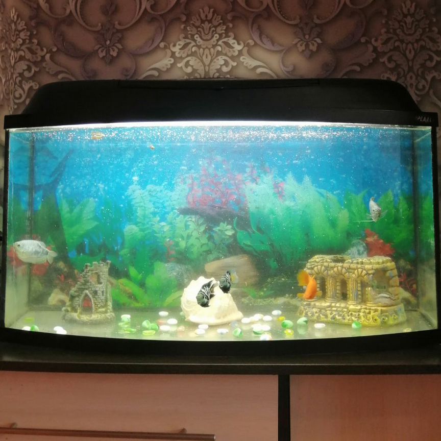 Украшение для аквариума