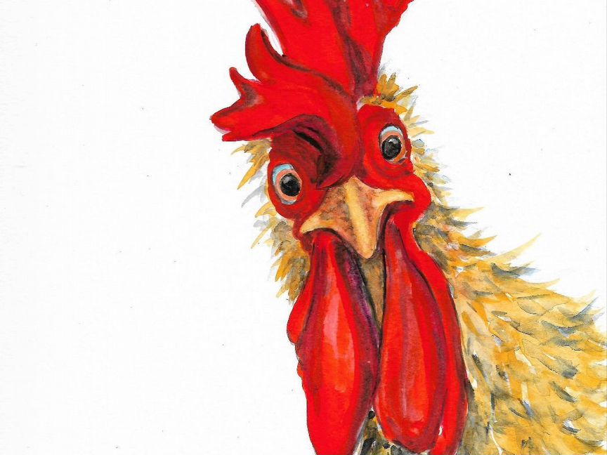 Отдам Петуха