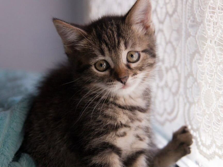 Крошечная малышка