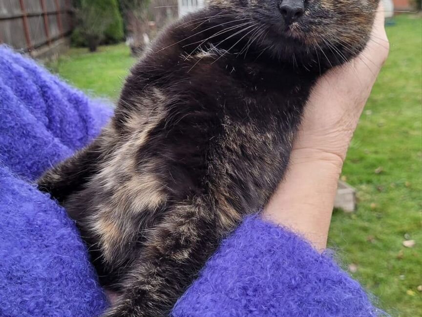 Очаровательная Шанель