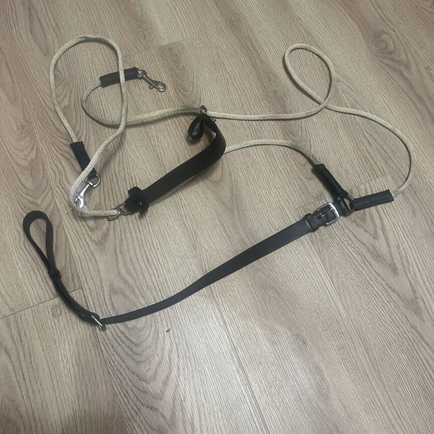 Гог (шамбон)