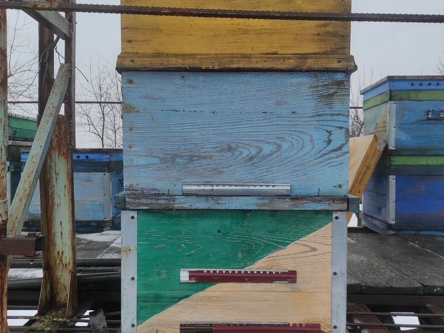 Улей для пчел дадан, магазинные корпуса