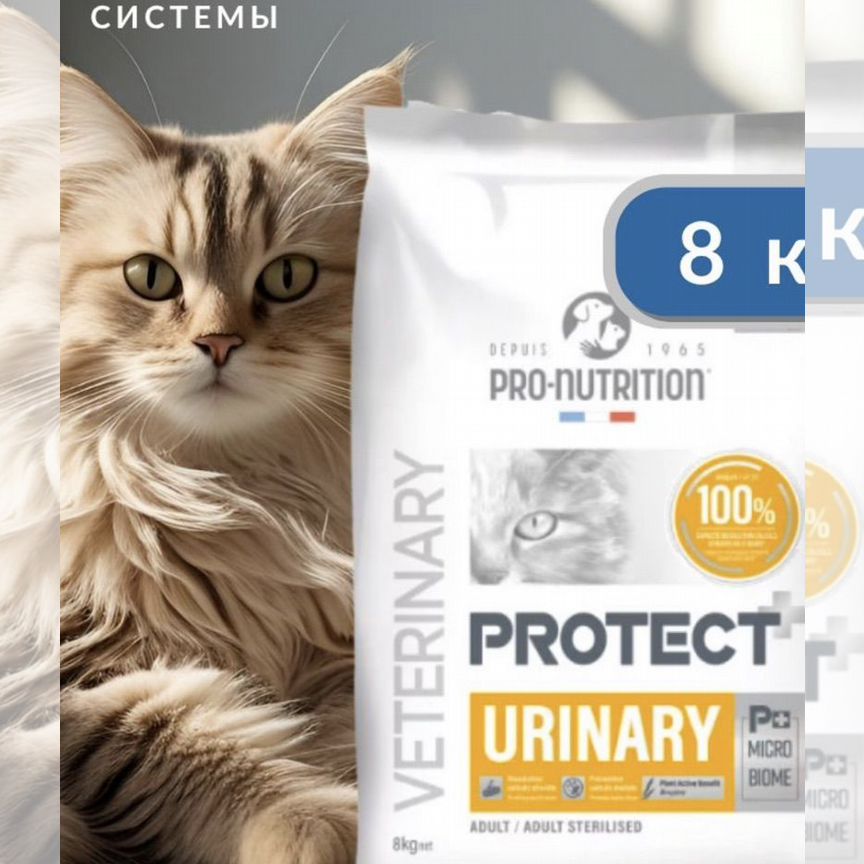 Корм сухой для кошек. Новый