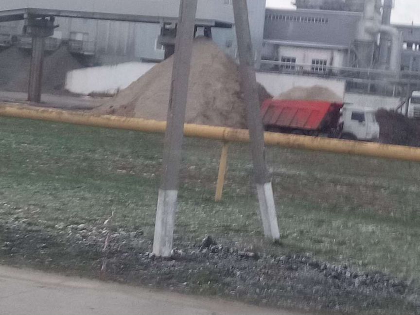 Жом свекольный