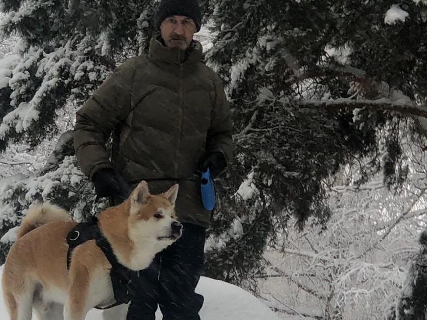 Кобель Акита Ину 5 лет ищет невесту