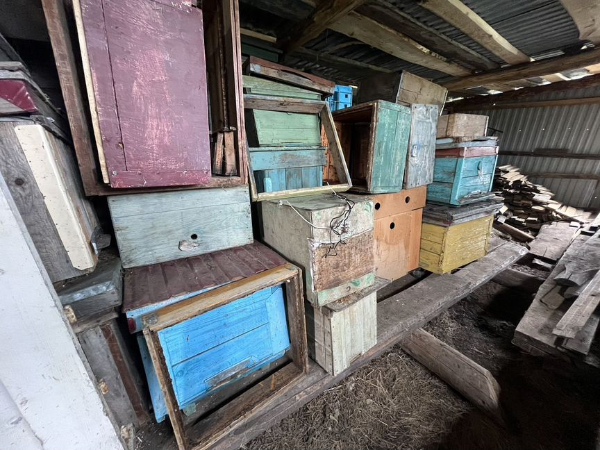 Улей дадан бу