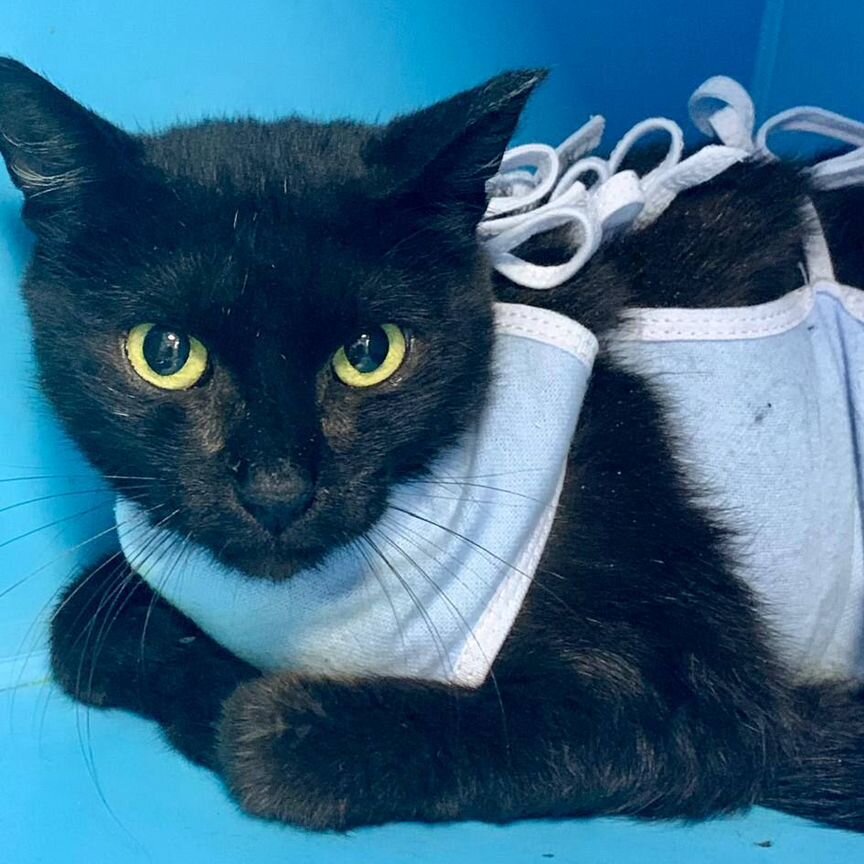 Завтра выпуск на холодную улицу.Мама,заметь