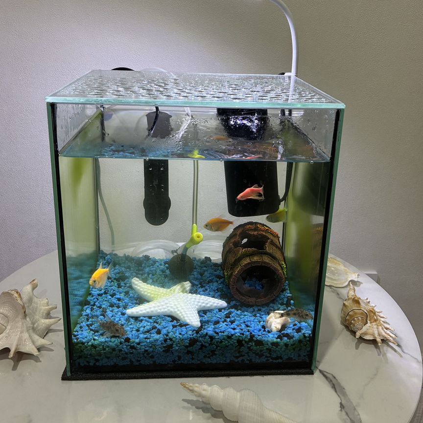 Аквариум бу с рыбками
