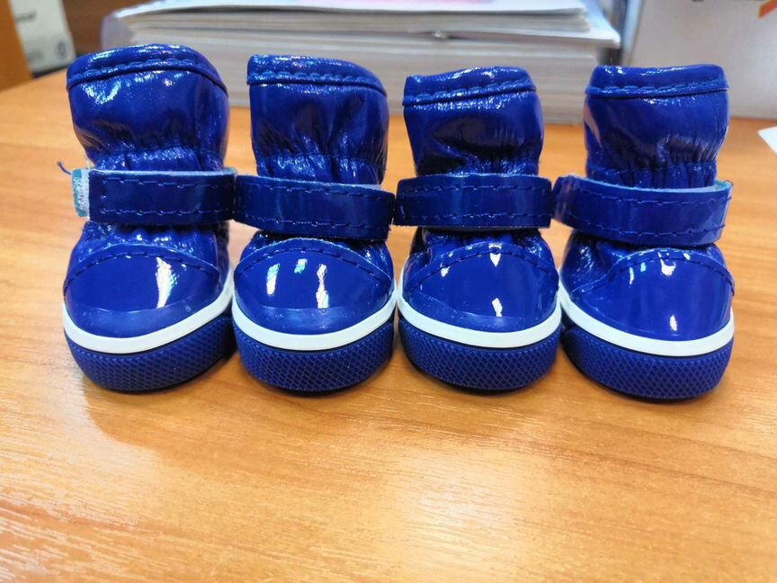 Сапоги для маленькой собаки