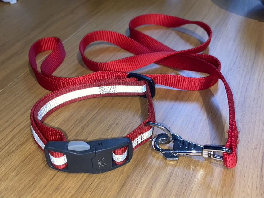 Ошейник с магнитным замком и поводок Ferplast