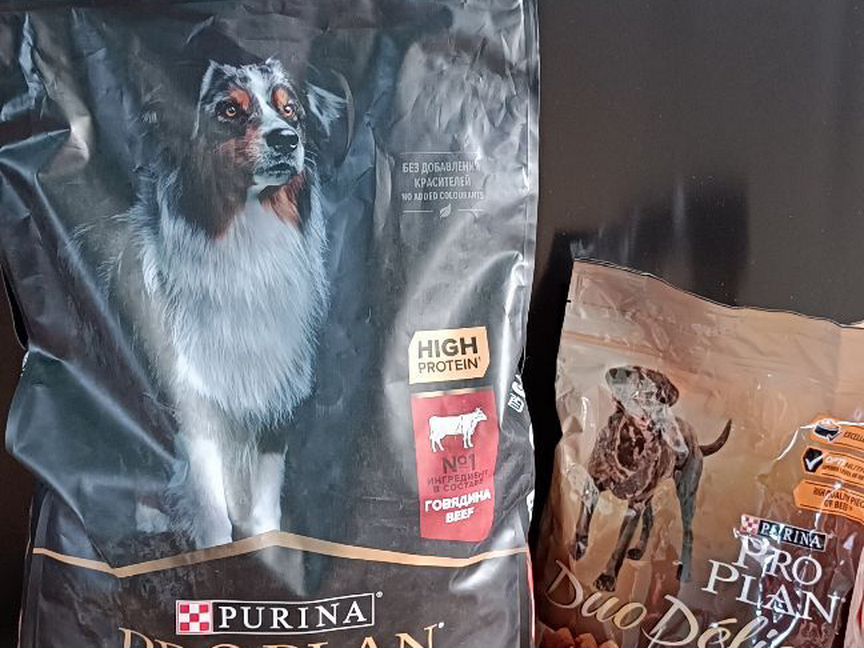 Корм для собак