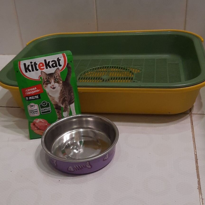 Набор юного котовладельца