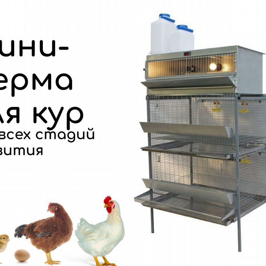Брудер с клеткой для кур Уфа