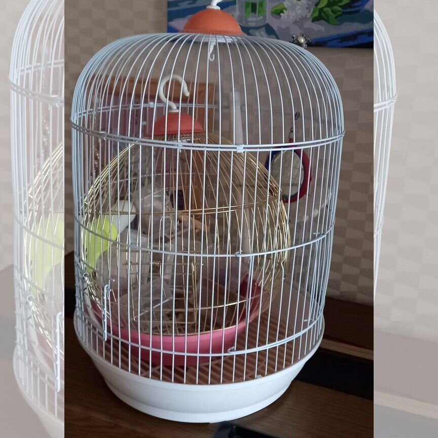 Клетки для попугая 2 шт