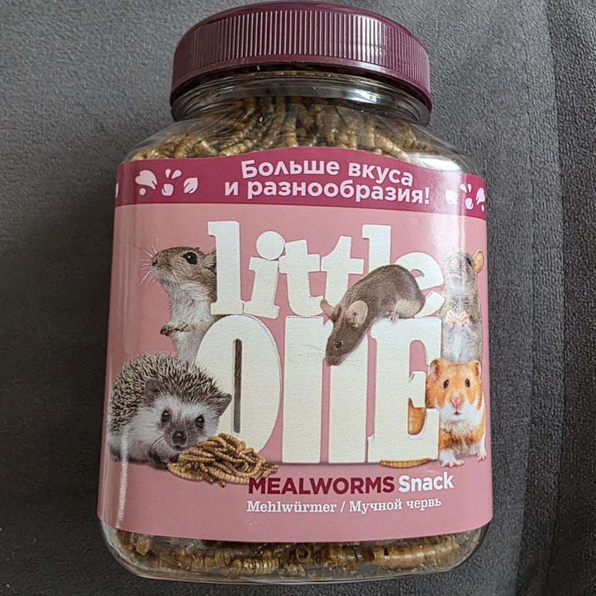 Сушеный мучной червь