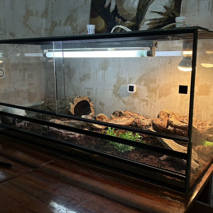 Горизонтальный террариум, крупный