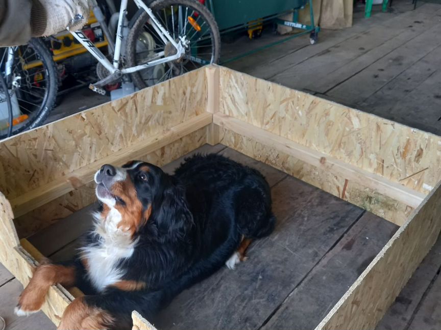 Родильный ящик для собак