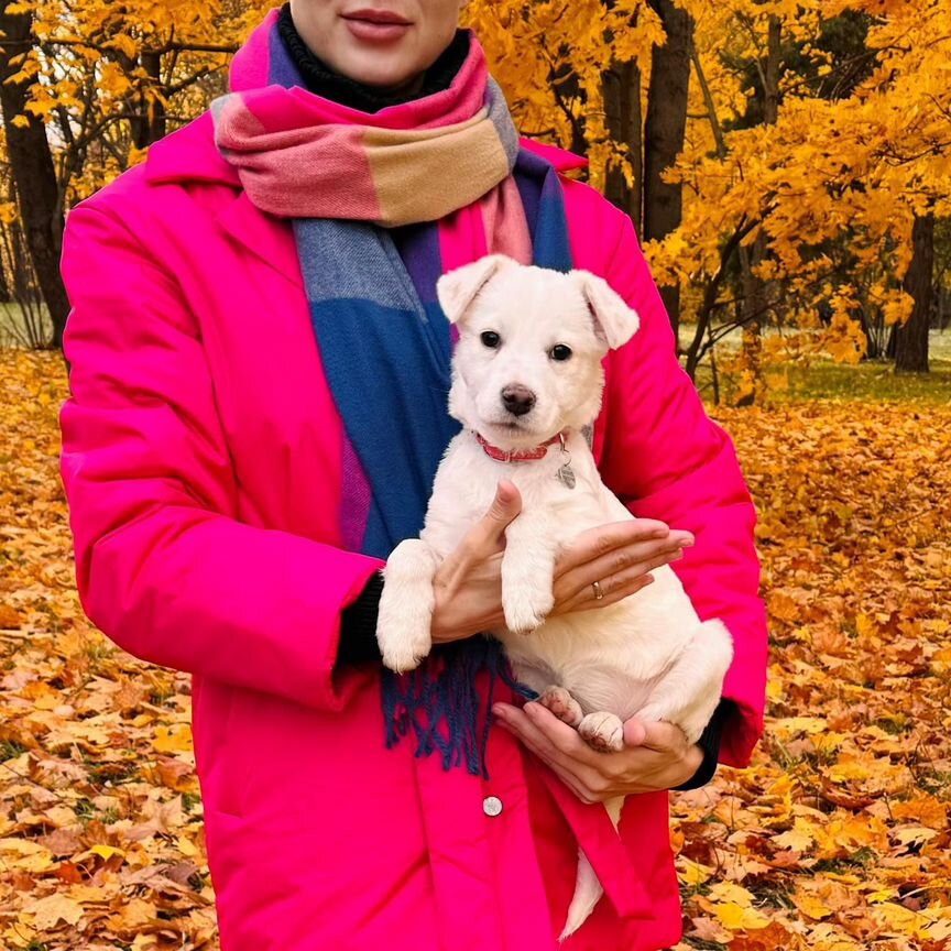 Невероятная малышка в добрые руки