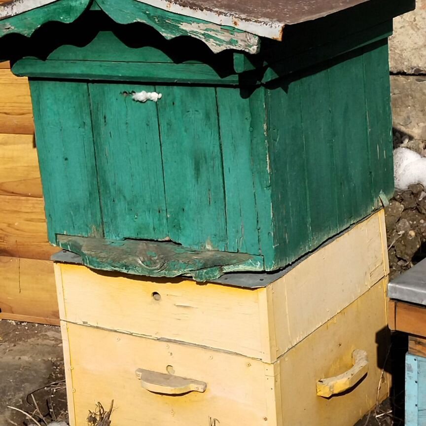 Ульи для пчел бу