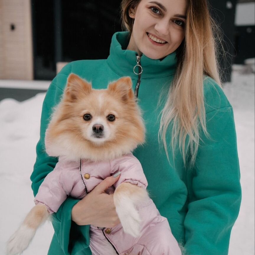 Вязка немецкий шпиц ищет жениха