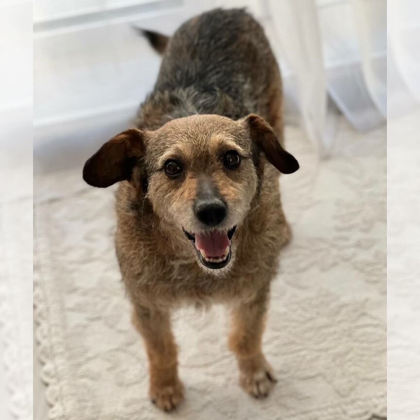 Может ты ее судьба