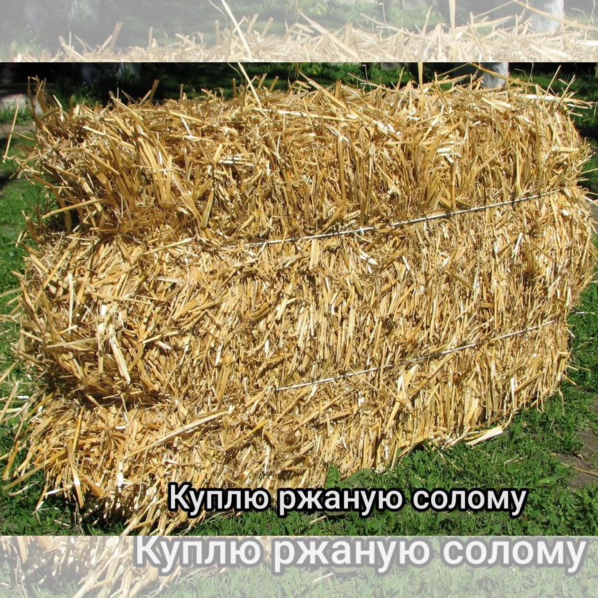 Ржаная солома в тюках