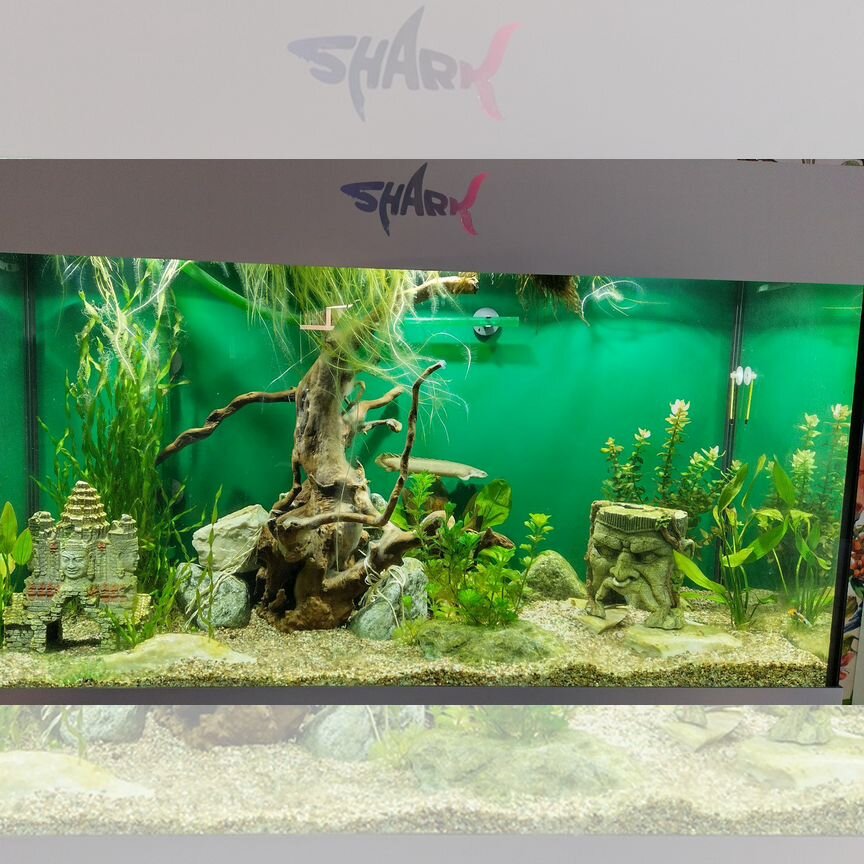 Аквариум 200л с тумбой и оборудованием