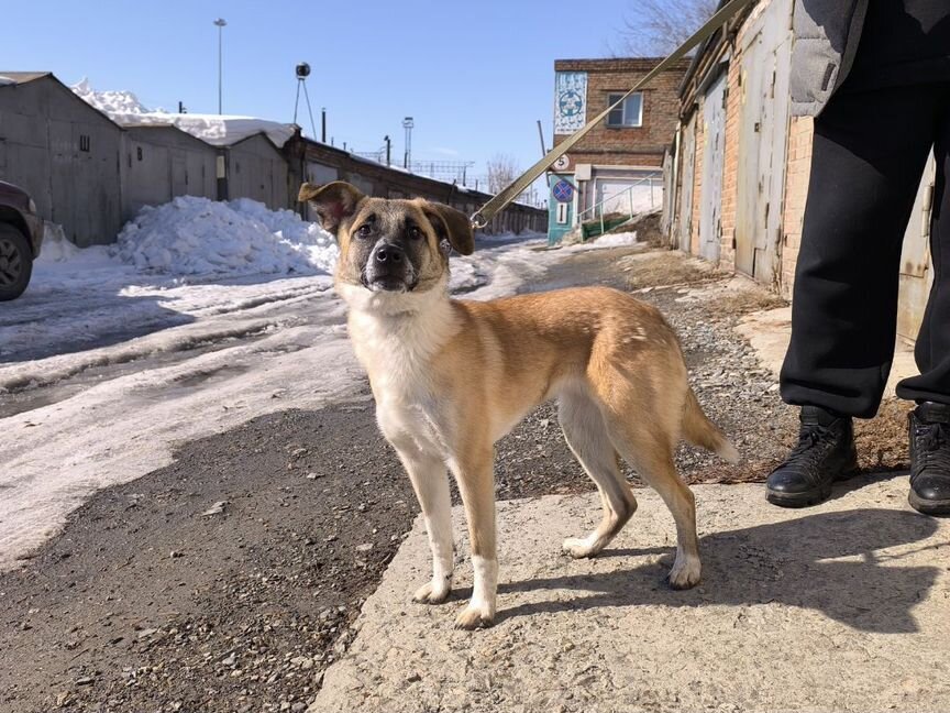 Лизу выкинули в подъезде