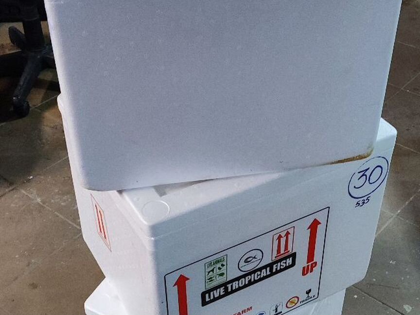 Термокороб коробка из пенопласта