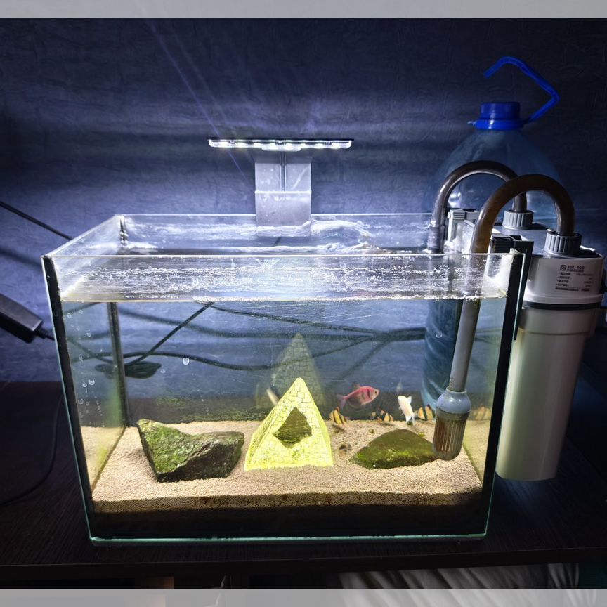 Аквариум с фильтром и рыбками