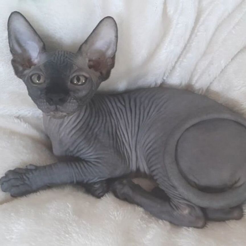 Маленькое чудо