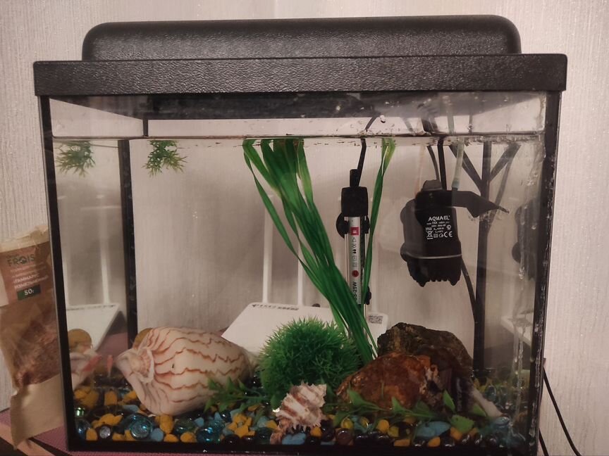 Аквариум, декор для аквариума