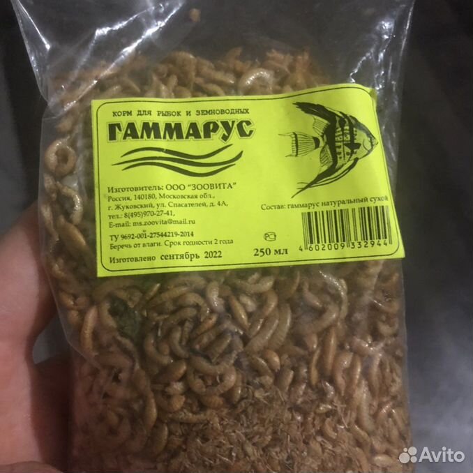 Гаммарус бесплатно