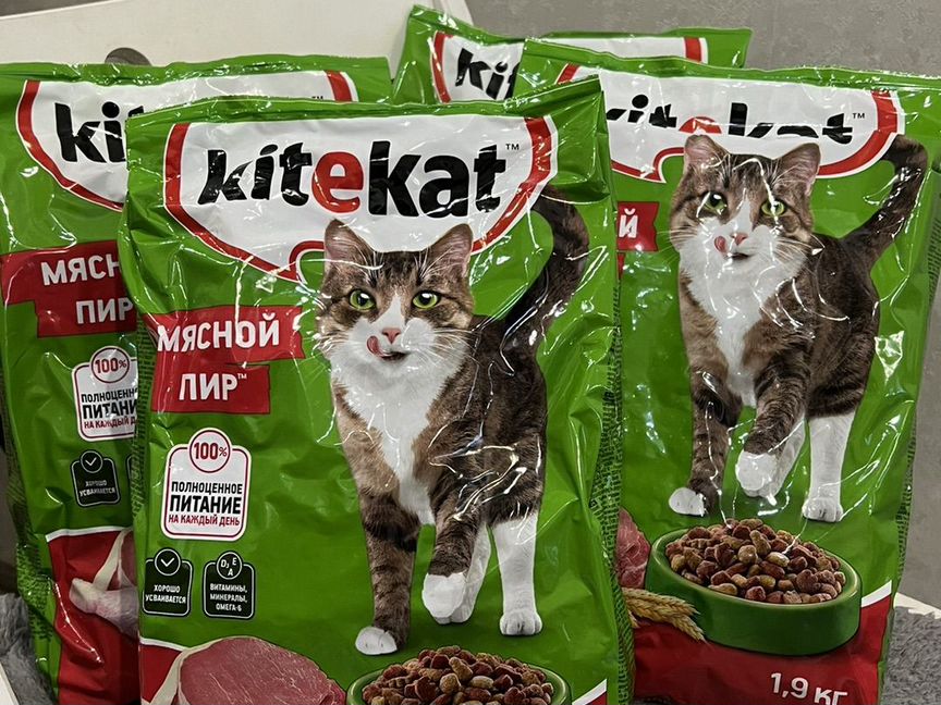 Корм для кошек