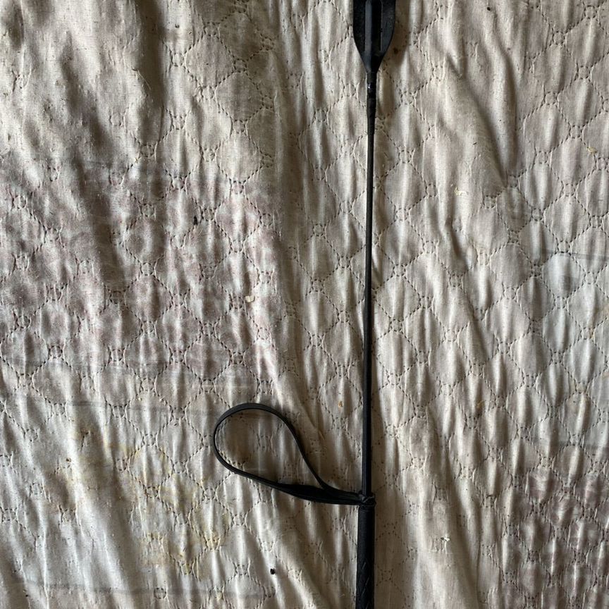 Хлыст конкурный