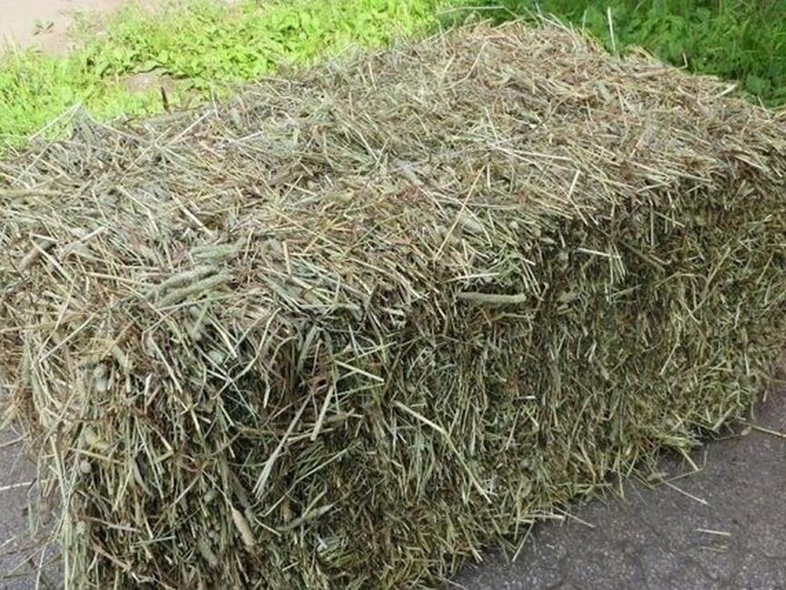 Сено люцерны в тюках и солома
