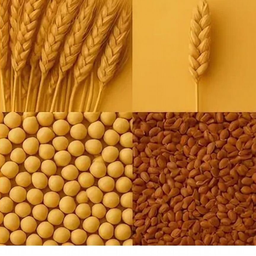 Зерно: пшеница, ячмень, горох