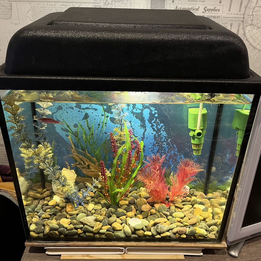 Готовый аквариум