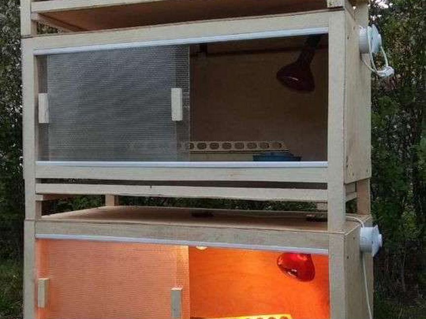 Брудер для цыплят