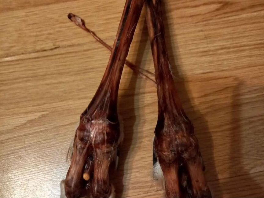 Корм, копыто оленя сушеное