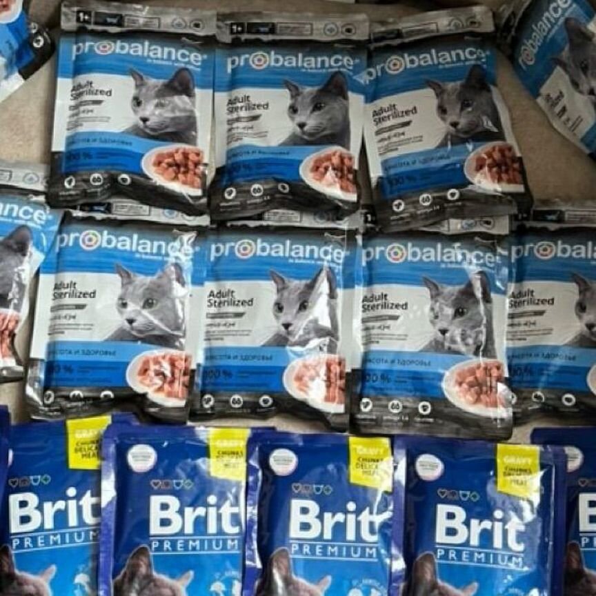 Корм для котов