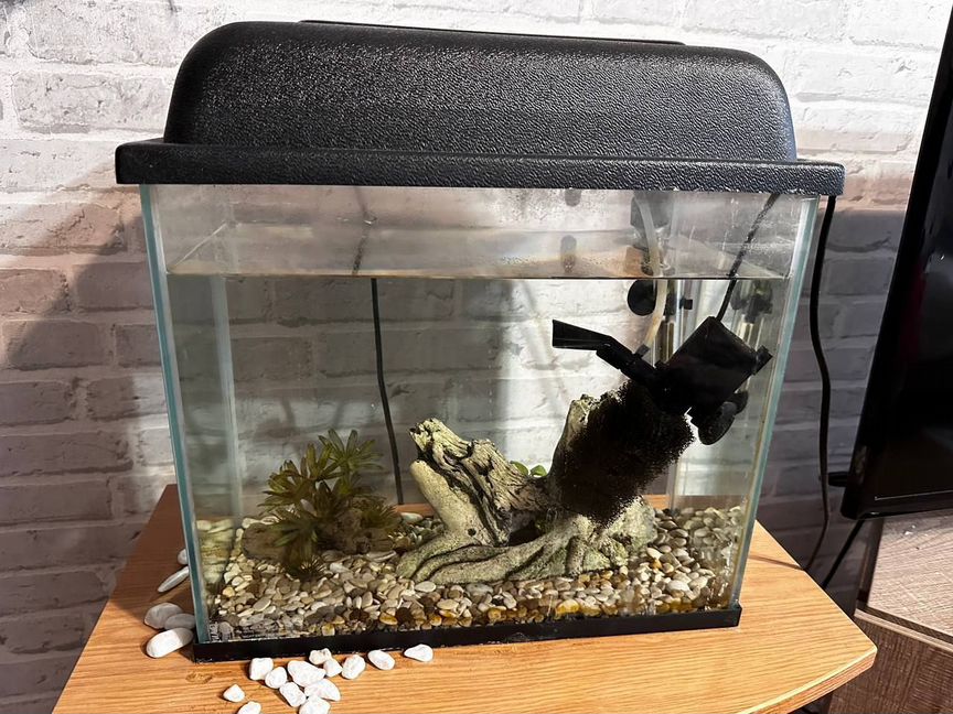 Аквариум для рыбок