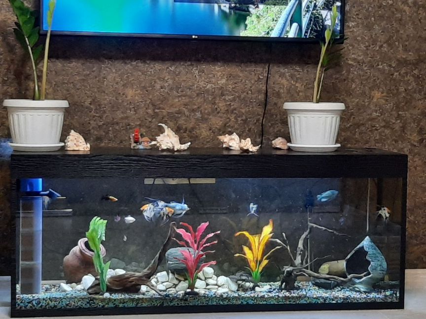 Аквариум на 450л