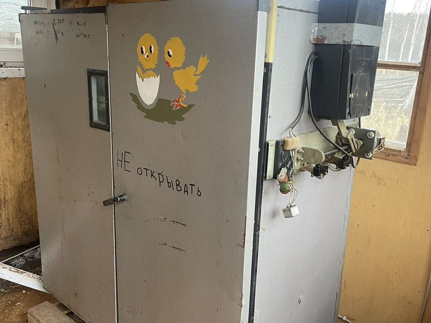 Инкубатор иуб 1000