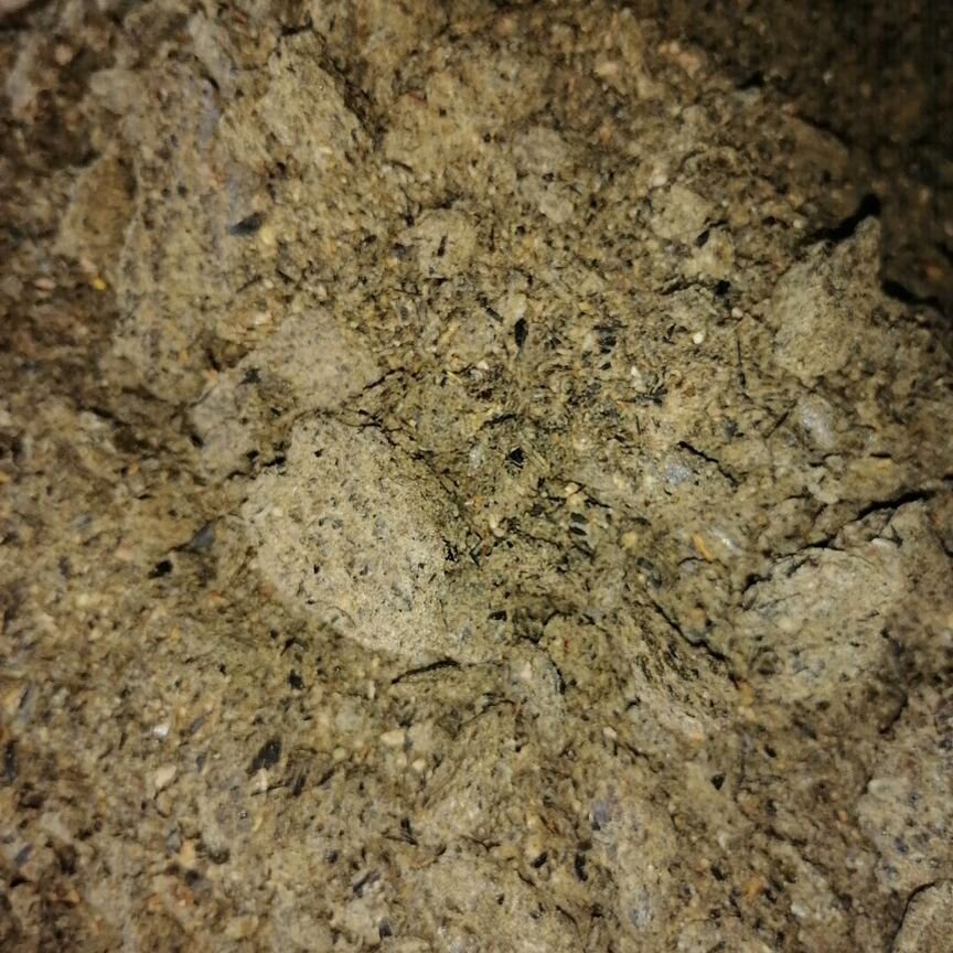 Жмых подсолнечный жаренный, жом свекловичный