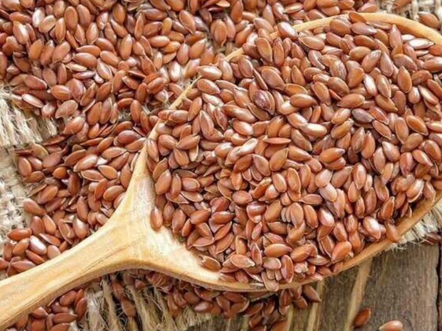 Лëн пищевой