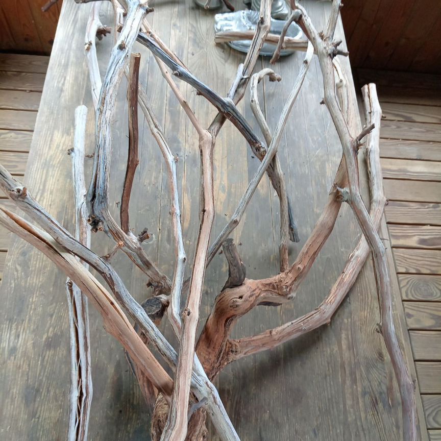 Виноградная лоза для террариума, аквариума