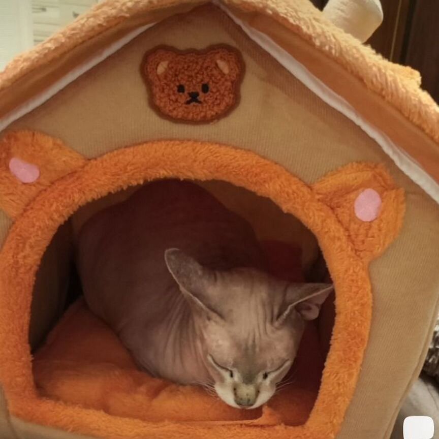 Домик для кошки